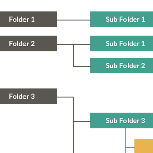 Dichotomous Key Maker | Dichotomous Key Examples | Creately