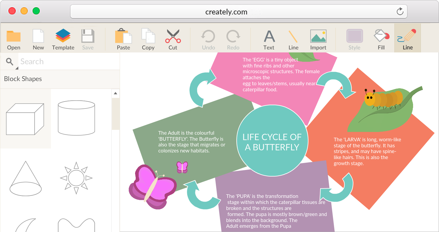 Educational Graphic Organizer Maker For K12 Creately Educational Graphic Organizer Maker For K12 Creately