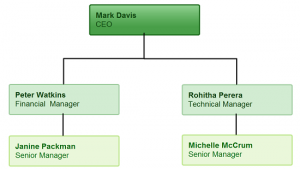 3 Ways to Improve Org Charts Using Colors, Structure and Images