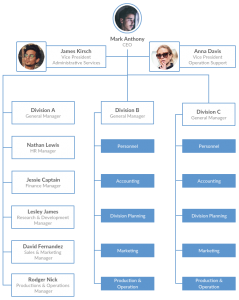 7 Types of Organizational Structures for Companies