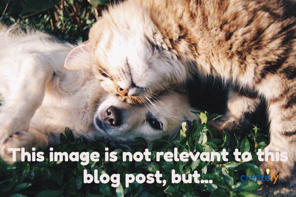 How to Use Visual Elements Effectively in a Blog Post - Creately Blog