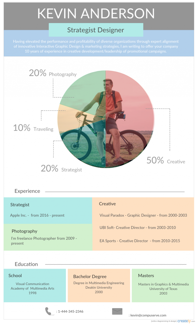 Infographic Resume Templates the Recruiters Will Love - Creately Blog