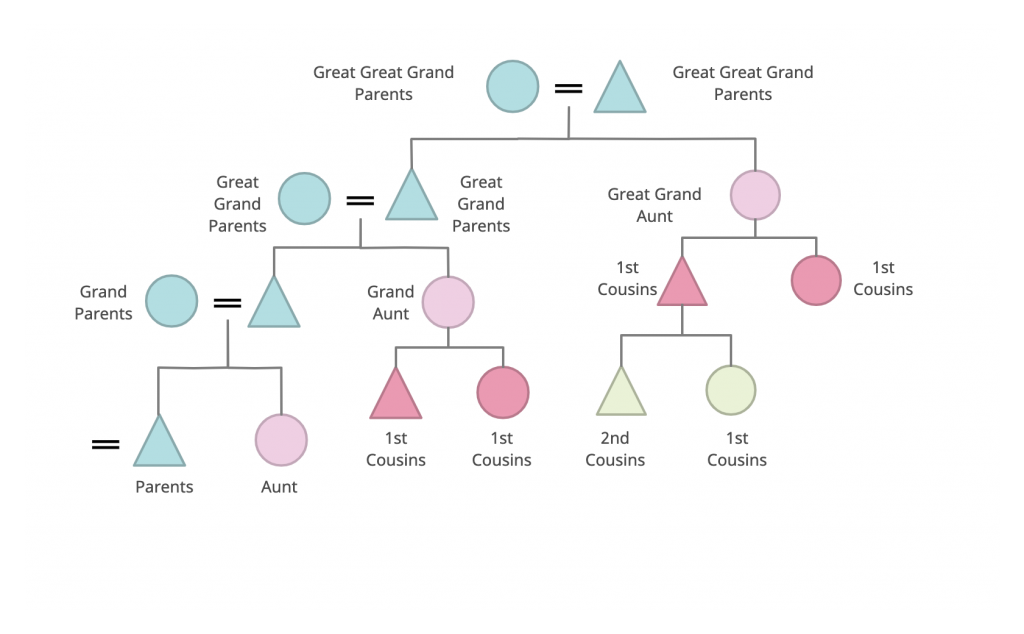Family Tree Examples to Easily Visualize Your Family History